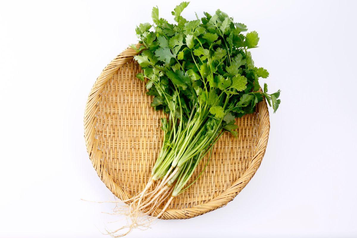 Kava su kalendra, kuri sušildys rudenį: neįprastas priedas